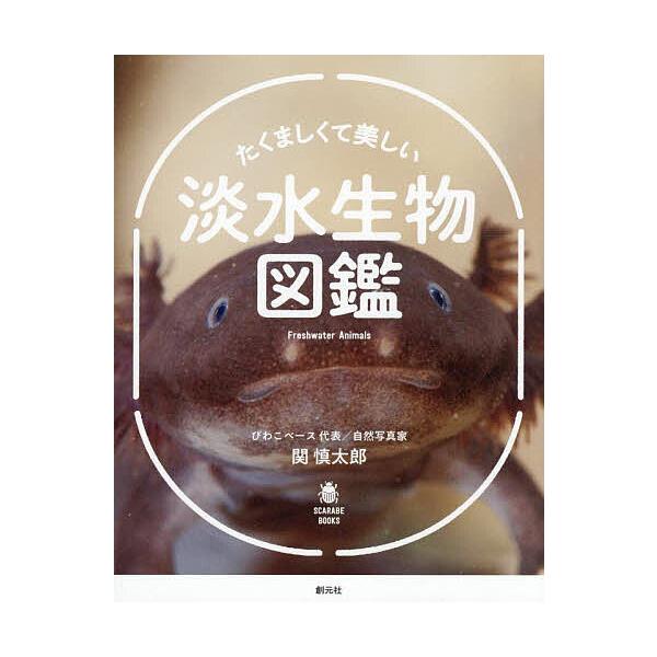 著:関慎太郎出版社:創元社発売日:2025年07月シリーズ名等:SCARABE BOOKSキーワード:たくましくて美しい淡水生物図鑑関慎太郎 たくましくてうつくしいたんすいせいぶつずかんすから タクマシクテウツクシイタンスイセイブツズカンス...