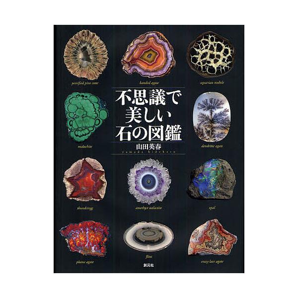 著:山田英春出版社:創元社発売日:2012年02月キーワード:不思議で美しい石の図鑑山田英春 ふしぎでうつくしいいしのずかん フシギデウツクシイイシノズカン やまだ ひではる ヤマダ ヒデハル