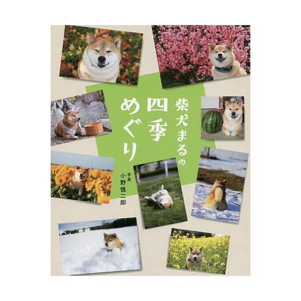 写真:小野慎二郎出版社:リベラル社発売日:2020年03月キーワード:柴犬まるの四季めぐり小野慎二郎 しばいぬまるのしきめぐり シバイヌマルノシキメグリ おの しんじろう オノ シンジロウ