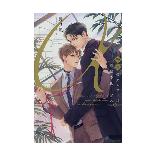 【発売日：2026年05月01日】※商品画像はイメージや仮デザインが含まれている場合があります。帯の有無など実際と異なる場合があります。著:野良風出版社:MUGENUP発売日:2026年05月01日シリーズ名等:eclair novelsキ...