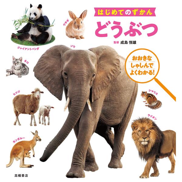 監修:成島悦雄出版社:高橋書店発売日:2021年11月シリーズ名等:はじめてのずかんキーワード:どうぶつおおきなしゃしんでよくわかる！成島悦雄 どうぶつおおきなしやしんでよくわかるはじめて ドウブツオオキナシヤシンデヨクワカルハジメテ なる...
