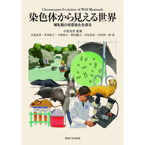 監修:小原良孝　著:小原良孝　著:多田政子出版社:東海大学出版部発売日:2018年09月キーワード:染色体から見える世界哺乳類の核型進化を探る小原良孝小原良孝多田政子 せんしよくたいからみえるせかいほにゆうるいのかくが センシヨクタイカラミ...