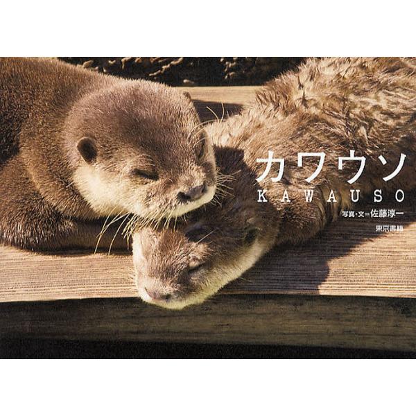 ※商品画像はイメージや仮デザインが含まれている場合があります。帯の有無など実際と異なる場合があります。写真:佐藤淳一出版社:東京書籍発売日:2010年04月キーワード:カワウソ佐藤淳一 かわうそ カワウソ さとう じゆんいち サトウ ジユンイチ