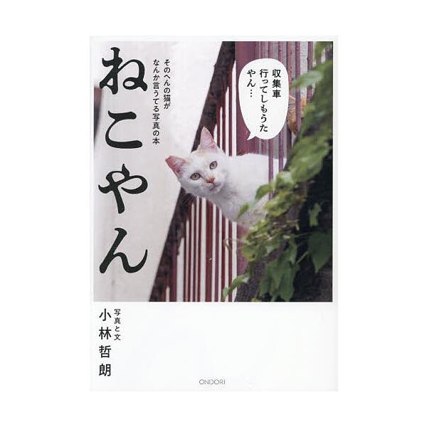 ※商品画像はイメージや仮デザインが含まれている場合があります。帯の有無など実際と異なる場合があります。写真:小林哲朗出版社:ONDORI−BOOKS発売日:2026年07月キーワード:ねこやんそのへんの猫がなんか言うてる写真の本小林哲朗 ね...
