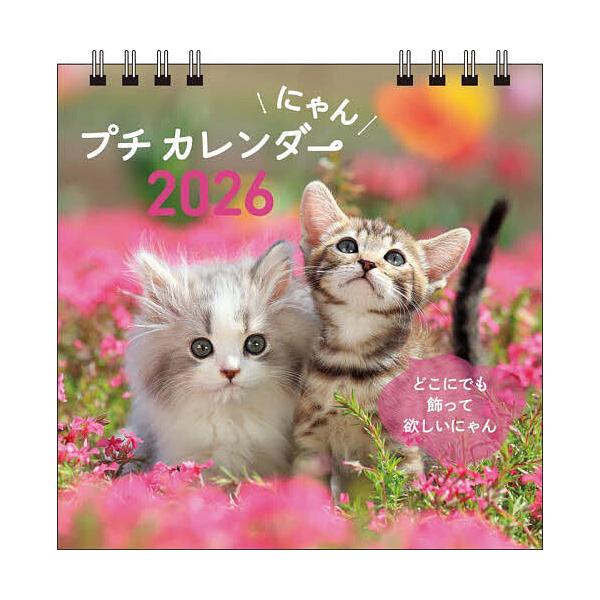 ※商品画像はイメージや仮デザインが含まれている場合があります。帯の有無など実際と異なる場合があります。出版社:永岡書店発売日:2025年09月シリーズ名等:２０２６年版キーワード:S２にゃんプチカレンダー Ｓ２にやんぷちかれんだー２０２６ ...