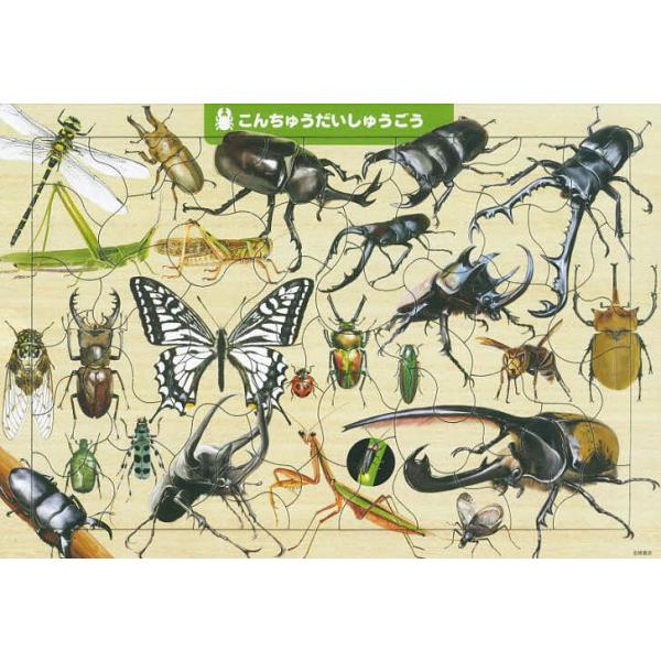 ※商品画像はイメージや仮デザインが含まれている場合があります。帯の有無など実際と異なる場合があります。出版社:永岡書店発売日:2022年03月シリーズ名等:頭のいい子を育むジグソー知育パズルキーワード:こんちゅうだいしゅうごう プレゼント ...