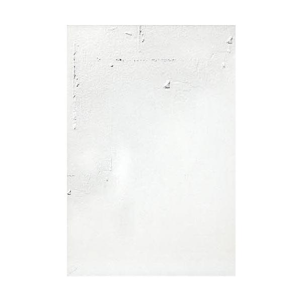 ※商品画像はイメージや仮デザインが含まれている場合があります。帯の有無など実際と異なる場合があります。著:島田荘司出版社:南雲堂発売日:2010年12月巻数:4巻キーワード:島田荘司全集４島田荘司 しまだそうじぜんしゆう４ シマダソウジゼン...