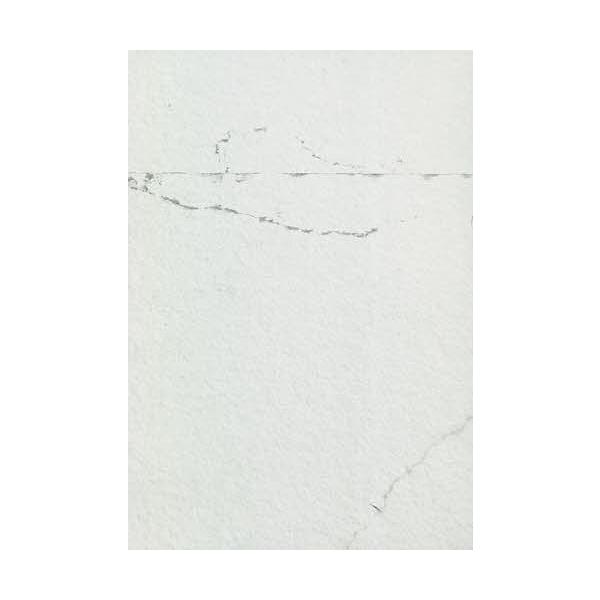 著:島田荘司出版社:南雲堂発売日:2021年01月キーワード:島田荘司全集８島田荘司 しまだそうじぜんしゆう８ シマダソウジゼンシユウ８ しまだ そうじ シマダ ソウジ