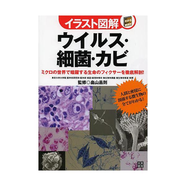 監修:畠山昌則出版社:日東書院本社発売日:2013年07月シリーズ名等:イラスト図解：見てわかる読んで納得！！！キーワード:ウイルス・細菌・カビミクロの世界で暗躍する生命のフィクサーを徹底解剖！畠山昌則 ういるすさいきんかびみくろのせかいで...