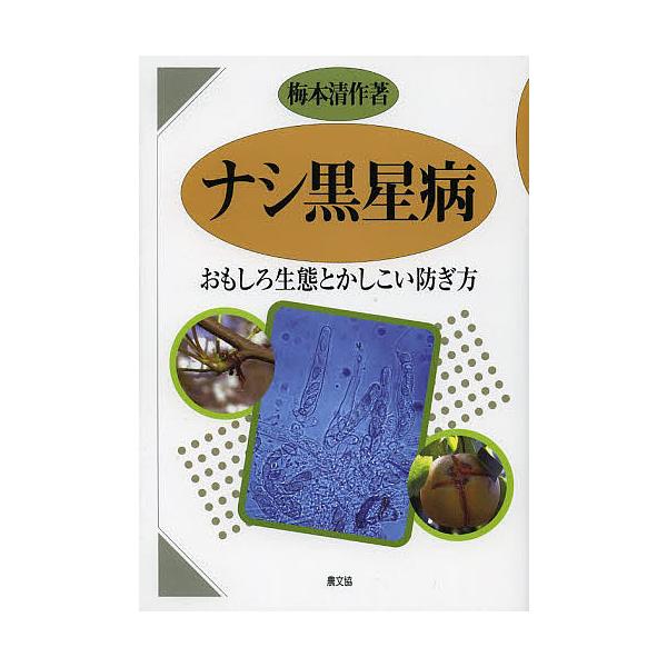 ※商品画像はイメージや仮デザインが含まれている場合があります。帯の有無など実際と異なる場合があります。著:梅本清作出版社:農山漁村文化協会発売日:2013年06月キーワード:ナシ黒星病おもしろ生態とかしこい防ぎ方梅本清作 なしくろぼしびよう...