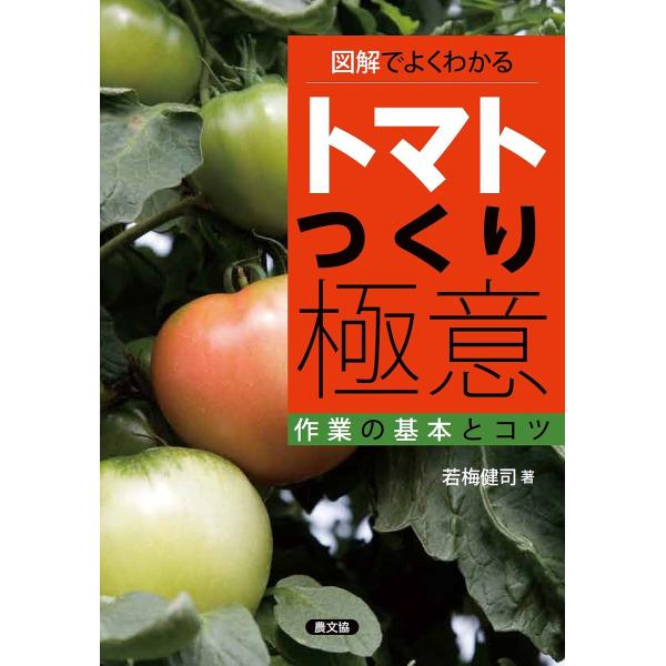 ※商品画像はイメージや仮デザインが含まれている場合があります。帯の有無など実際と異なる場合があります。著:若梅健司出版社:農山漁村文化協会発売日:2017年02月キーワード:図解でよくわかるトマトつくり極意作業の基本とコツ若梅健司 ずかいで...