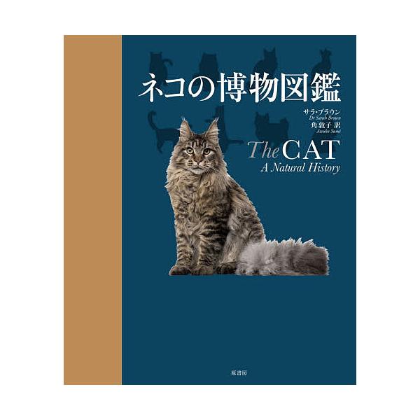 著:サラ・ブラウン　訳:角敦子出版社:原書房発売日:2020年11月キーワード:ネコの博物図鑑サラ・ブラウン角敦子 ねこのはくぶつずかん ネコノハクブツズカン ぶらうん さら Ｌ． ＢＲＯＷ ブラウン サラ Ｌ． ＢＲＯＷ