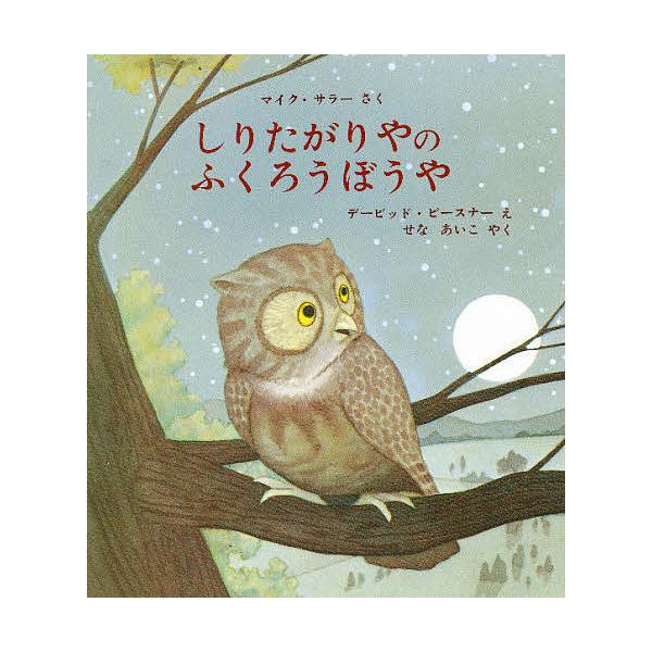 ※商品画像はイメージや仮デザインが含まれている場合があります。帯の有無など実際と異なる場合があります。著:マイク・サラー　画:デービッド・ビースナー　訳:せなあいこ出版社:評論社発売日:1992年09月シリーズ名等:児童図書館・絵本の部屋キ...