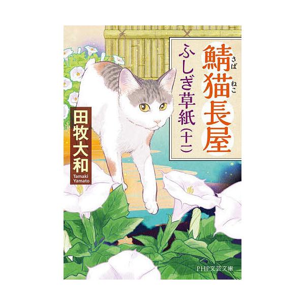 ※商品画像はイメージや仮デザインが含まれている場合があります。帯の有無など実際と異なる場合があります。著:田牧大和出版社:PHP研究所発売日:2024年04月シリーズ名等:PHP文芸文庫 た７−１１巻数:11巻キーワード:鯖猫長屋ふしぎ草紙...