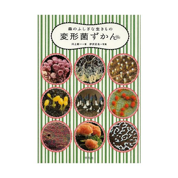 著:川上新一　写真:伊沢正名出版社:平凡社発売日:2013年06月キーワード:変形菌ずかん森のふしぎな生きもの川上新一伊沢正名 へんけいきんずかんもりのふしぎないきもの ヘンケイキンズカンモリノフシギナイキモノ かわかみ しんいち いざわ ...