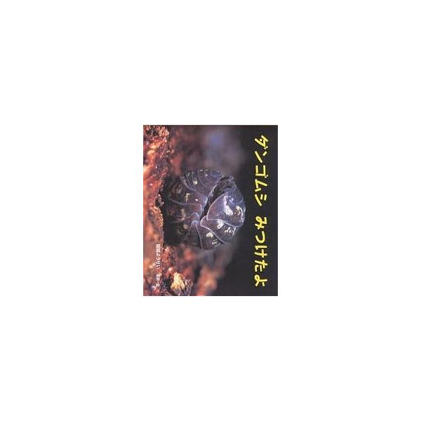 ※商品画像はイメージや仮デザインが含まれている場合があります。帯の有無など実際と異なる場合があります。著:皆越ようせい出版社:ポプラ社発売日:2002年07月シリーズ名等:ふしぎいっぱい写真絵本 １キーワード:ダンゴムシみつけたよ皆越ようせ...