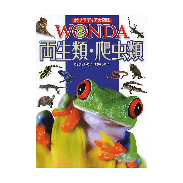 ※商品画像はイメージや仮デザインが含まれている場合があります。帯の有無など実際と異なる場合があります。監修:森哲　監修:西川完途出版社:ポプラ社発売日:2014年03月シリーズ名等:ポプラディア大図鑑WONDA １１キーワード:ポプラディア...
