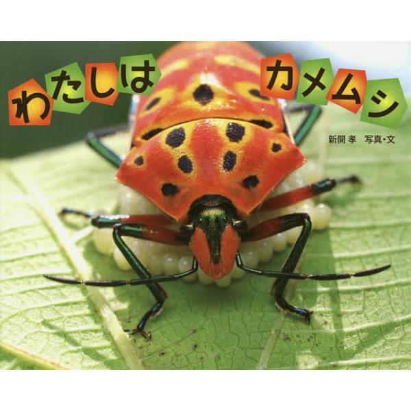 ※商品画像はイメージや仮デザインが含まれている場合があります。帯の有無など実際と異なる場合があります。写真:新開孝出版社:ポプラ社発売日:2014年07月シリーズ名等:ふしぎいっぱい写真絵本 ２５キーワード:わたしはカメムシ新開孝 えほん ...
