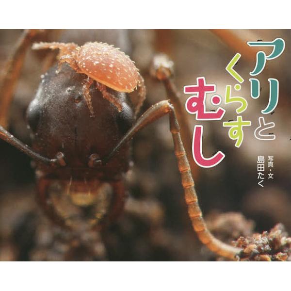 写真:島田たく出版社:ポプラ社発売日:2015年04月シリーズ名等:ふしぎいっぱい写真絵本 ２６キーワード:アリとくらすむし島田たく えほん 絵本 プレゼント ギフト 誕生日 子供 クリスマス 子ども こども ありとくらすむしふしぎいつぱい...