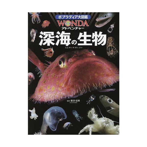 ※商品画像はイメージや仮デザインが含まれている場合があります。帯の有無など実際と異なる場合があります。監修:藤倉克則出版社:ポプラ社発売日:2016年06月シリーズ名等:ポプラディア大図鑑WONDAアドベンチャーキーワード:ポプラディア大図...