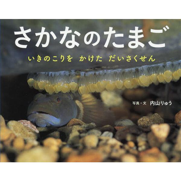 ※商品画像はイメージや仮デザインが含まれている場合があります。帯の有無など実際と異なる場合があります。写真:内山りゅう出版社:ポプラ社発売日:2017年07月シリーズ名等:ふしぎいっぱい写真絵本 ３１キーワード:さかなのたまごいきのこりをか...