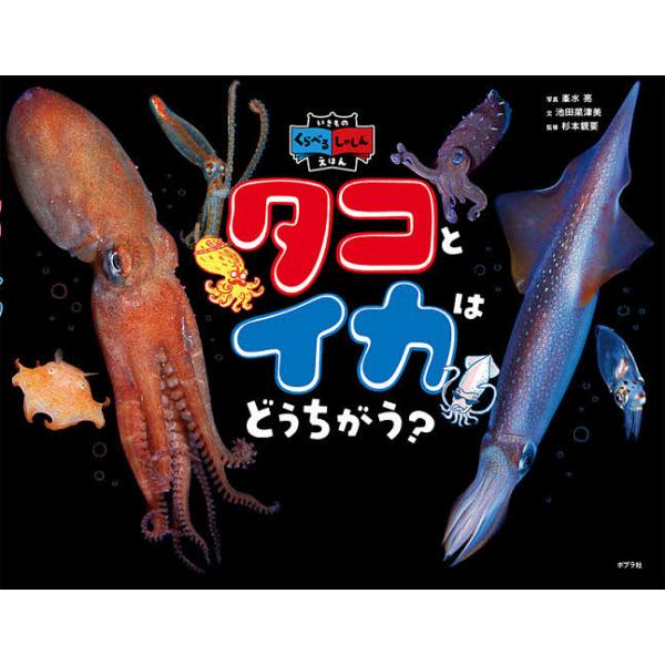 写真:峯水亮　文:池田菜津美　監修:杉本親要出版社:ポプラ社発売日:2020年07月シリーズ名等:いきものくらべるしゃしんえほんキーワード:タコとイカはどうちがう？峯水亮池田菜津美杉本親要 えほん 絵本 プレゼント ギフト 誕生日 子供 ク...