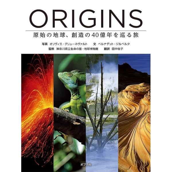 ※商品画像はイメージや仮デザインが含まれている場合があります。帯の有無など実際と異なる場合があります。写真:オリヴィエ・グリューネヴァルト　文:ベルナデット・ジルベルタ　監修:神奈川県立生命の星・地球博物館出版社:ポプラ社発売日:2019年...