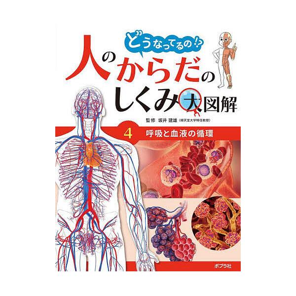 ※商品画像はイメージや仮デザインが含まれている場合があります。帯の有無など実際と異なる場合があります。監修:坂井建雄出版社:ポプラ社発売日:2023年04月巻数:4巻キーワード:どうなってるの！？人のからだのしくみ大図解４坂井建雄 プレゼン...