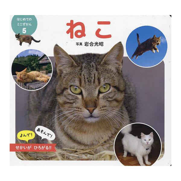 ※商品画像はイメージや仮デザインが含まれている場合があります。帯の有無など実際と異なる場合があります。写真:岩合光昭出版社:ポプラ社発売日:2024年03月シリーズ名等:はじめてのミニずかん ５キーワード:ねこ岩合光昭 えほん 絵本 プレゼ...