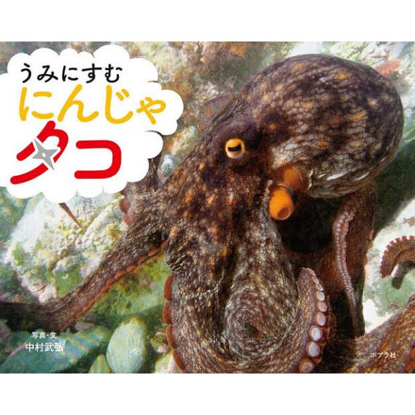 【発売日：2026年08月05日】※商品画像はイメージや仮デザインが含まれている場合があります。帯の有無など実際と異なる場合があります。写真:中村武弘　監修:・文土屋光太郎出版社:ポプラ社発売日:2026年08月05日シリーズ名等:ふしぎい...
