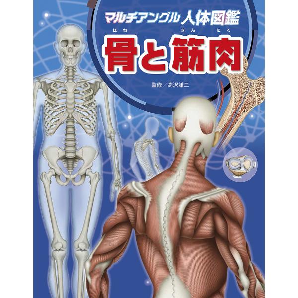 監修:高沢謙二　絵:松島浩一郎　文:川島晶子出版社:ほるぷ出版発売日:2017年08月巻数:1巻キーワード:マルチアングル人体図鑑〔１〕高沢謙二松島浩一郎川島晶子 プレゼント ギフト 誕生日 子供 クリスマス 子ども こども まるちあんぐる...