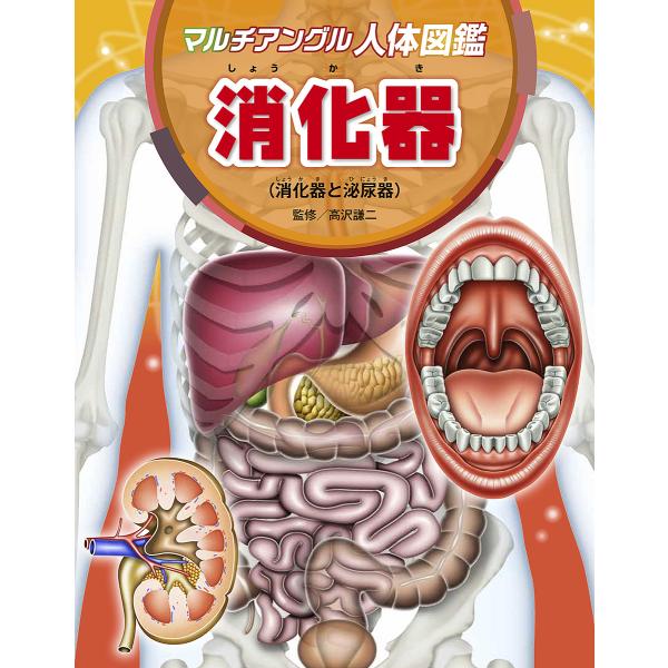 監修:高沢謙二　絵:松島浩一郎　文:川島晶子出版社:ほるぷ出版発売日:2017年12月巻数:2巻キーワード:マルチアングル人体図鑑〔２〕高沢謙二松島浩一郎川島晶子 プレゼント ギフト 誕生日 子供 クリスマス 子ども こども まるちあんぐる...