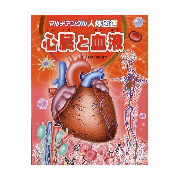 ※商品画像はイメージや仮デザインが含まれている場合があります。帯の有無など実際と異なる場合があります。監修:高沢謙二　絵:松島浩一郎　文:川島晶子出版社:ほるぷ出版発売日:2018年02月巻数:3巻キーワード:マルチアングル人体図鑑〔３〕高...