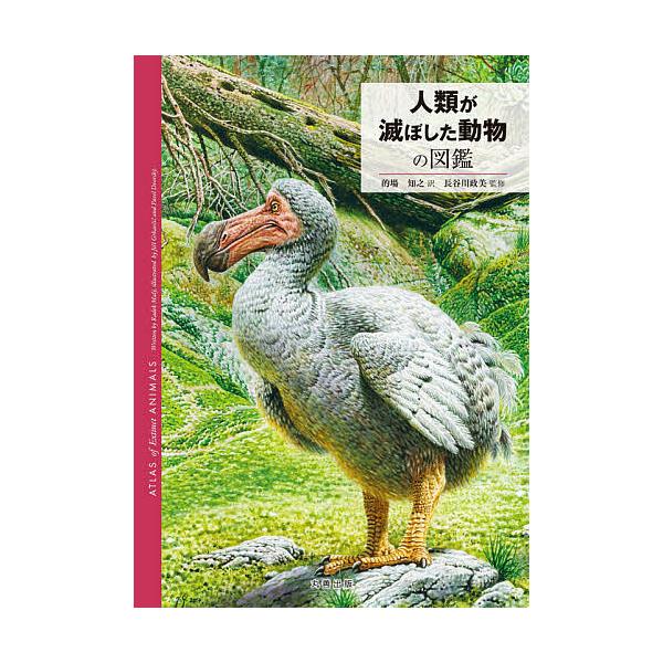 ※商品画像はイメージや仮デザインが含まれている場合があります。帯の有無など実際と異なる場合があります。著:RadekMaly　イラスト:JiriGrbavcic　イラスト:PavelDvorsky出版社:丸善出版発売日:2021年06月キー...