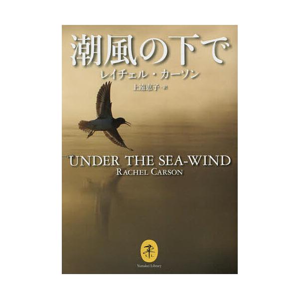 著:レイチェル・カーソン　訳:上遠恵子出版社:山と溪谷社発売日:2023年01月シリーズ名等:ヤマケイ文庫キーワード:潮風の下でレイチェル・カーソン上遠恵子 しおかぜのしたでやまけいぶんこ シオカゼノシタデヤマケイブンコ か−そん れいちえ...