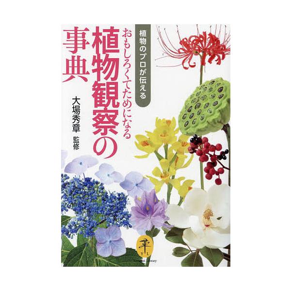 ※商品画像はイメージや仮デザインが含まれている場合があります。帯の有無など実際と異なる場合があります。監修:大場秀章出版社:山と溪谷社発売日:2024年03月シリーズ名等:ヤマケイ文庫キーワード:植物のプロが伝えるおもしろくてためになる植物...