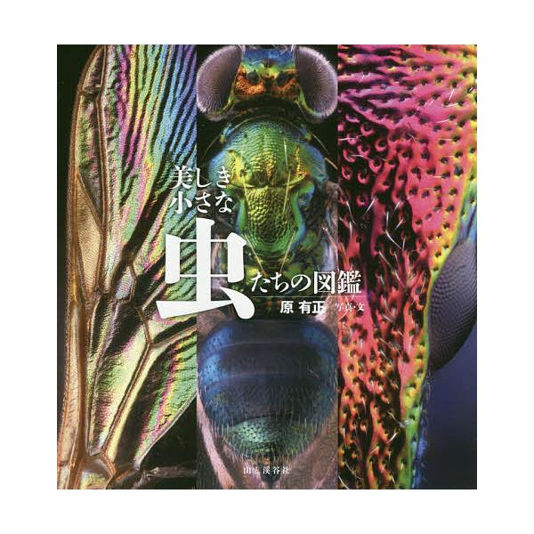 写真:原有正出版社:山と溪谷社発売日:2020年09月キーワード:美しき小さな虫たちの図鑑原有正 うつくしきちいさなむしたちのずかん ウツクシキチイサナムシタチノズカン はら ゆうせい ハラ ユウセイ
