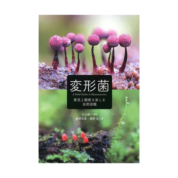 ※商品画像はイメージや仮デザインが含まれている場合があります。帯の有無など実際と異なる場合があります。解説:川上新一　写真:新井文彦　写真:高野丈出版社:山と溪谷社発売日:2022年07月キーワード:変形菌発見と観察を楽しむ自然図鑑川上新一...