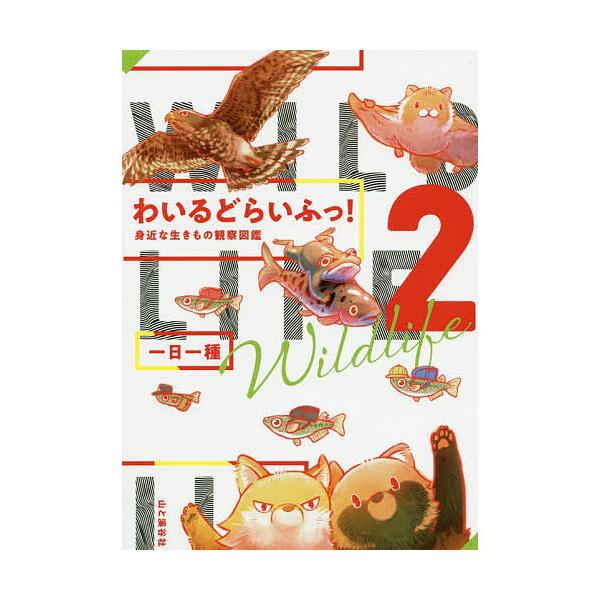 ※商品画像はイメージや仮デザインが含まれている場合があります。帯の有無など実際と異なる場合があります。著:一日一種出版社:山と溪谷社発売日:2020年11月キーワード:わいるどらいふっ！身近な生きもの観察図鑑２一日一種 わいるどらいふつ２ ...