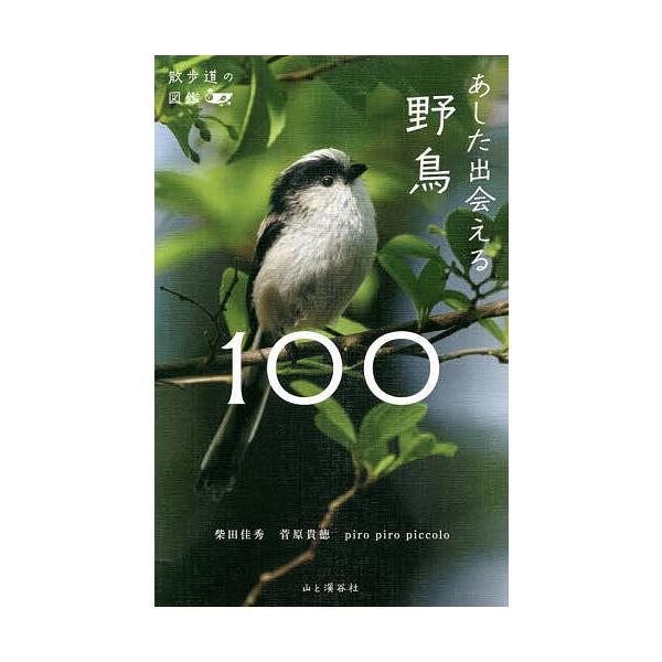 ※商品画像はイメージや仮デザインが含まれている場合があります。帯の有無など実際と異なる場合があります。文:柴田佳秀　写真:菅原貴徳　イラスト:piropiropiccolo出版社:山と溪谷社発売日:2022年04月シリーズ名等:散歩道の図鑑...