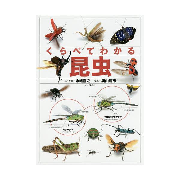 文:永幡嘉之　写真:・写真奥山清市出版社:山と溪谷社発売日:2017年06月キーワード:くらべてわかる昆虫識別ポイントで見分ける永幡嘉之・写真奥山清市 くらべてわかるこんちゆうしきべつぽいんとでみわける クラベテワカルコンチユウシキベツポイ...