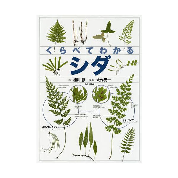 文:桶川修　写真:大作晃一出版社:山と溪谷社発売日:2020年04月キーワード:くらべてわかるシダ識別ポイントで見分ける桶川修大作晃一 くらべてわかるしだしきべつぽいんとでみわける クラベテワカルシダシキベツポイントデミワケル おけがわ お...