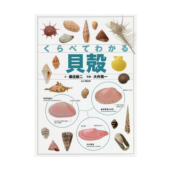 ※商品画像はイメージや仮デザインが含まれている場合があります。帯の有無など実際と異なる場合があります。文:黒住耐二　写真:大作晃一出版社:山と溪谷社発売日:2021年10月キーワード:くらべてわかる貝殻識別ポイントで見分ける黒住耐二大作晃一...