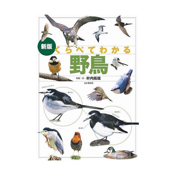 ※商品画像はイメージや仮デザインが含まれている場合があります。帯の有無など実際と異なる場合があります。写真:叶内拓哉出版社:山と溪谷社発売日:2025年04月キーワード:くらべてわかる野鳥識別ポイントで見分ける叶内拓哉 くらべてわかるやちよ...