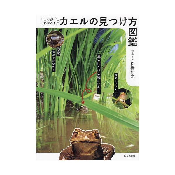 ※商品画像はイメージや仮デザインが含まれている場合があります。帯の有無など実際と異なる場合があります。写真:松橋利光出版社:山と溪谷社発売日:2025年04月キーワード:コツがわかる！カエルの見つけ方図鑑松橋利光 こつがわかるかえるのみつけ...
