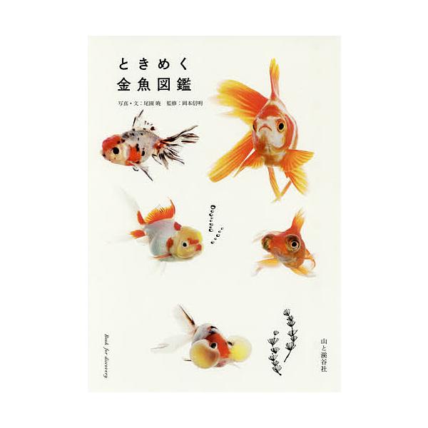 ※商品画像はイメージや仮デザインが含まれている場合があります。帯の有無など実際と異なる場合があります。写真:尾園暁　監修:・文岡本信明出版社:山と溪谷社発売日:2017年08月シリーズ名等:Book for discoveryキーワード:と...