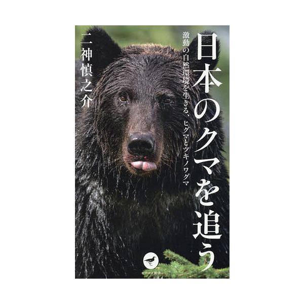 ※商品画像はイメージや仮デザインが含まれている場合があります。帯の有無など実際と異なる場合があります。著:二神慎之介出版社:山と溪谷社発売日:2026年07月シリーズ名等:ヤマケイ新書 YS０８１キーワード:日本のクマを追う激動の自然環境を...