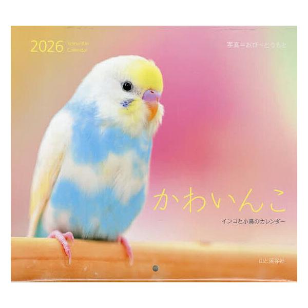 ※商品画像はイメージや仮デザインが含まれている場合があります。帯の有無など実際と異なる場合があります。出版社:山と溪谷社発売日:2025年09月キーワード:’２６かわいんこインコと小鳥のカレンダー ２０２６かわいんこいんことことりのかれんだ...