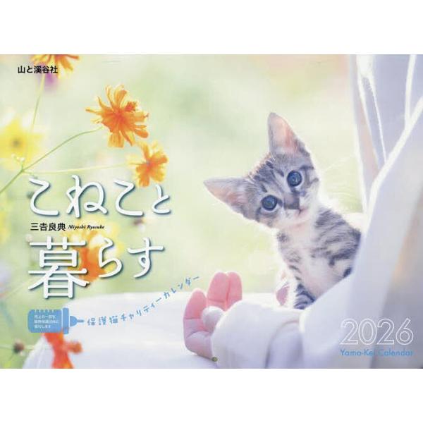 出版社:山と溪谷社発売日:2025年09月キーワード:カレンダー’２６こねこと暮らす保護猫チャ かれんだー２０２６こねことくらすほごねこちやりてい カレンダー２０２６コネコトクラスホゴネコチヤリテイ みよしりようすけ ミヨシリヨウスケ