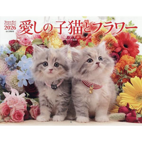 ※商品画像はイメージや仮デザインが含まれている場合があります。帯の有無など実際と異なる場合があります。出版社:山と溪谷社発売日:2025年09月キーワード:カレンダー’２６愛しの子猫とフラワー かれんだー２０２６いとしのこねことふらわー カ...